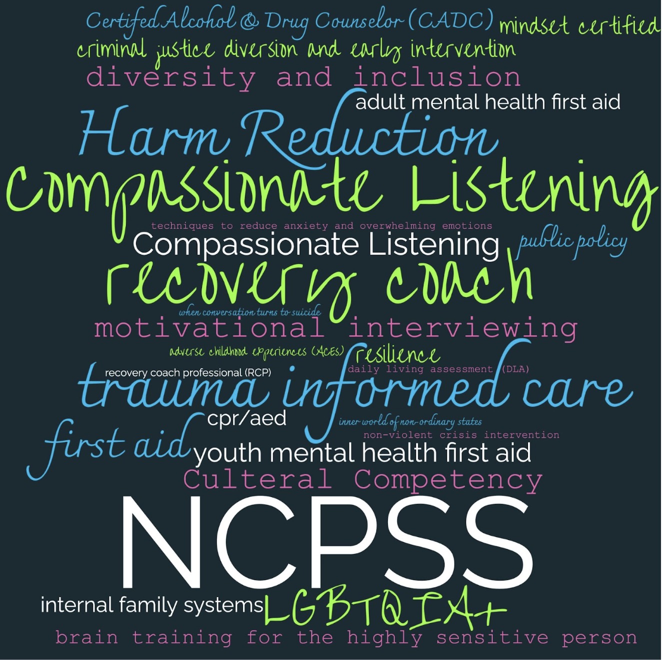 Mentor Program - Reintegration Support Network